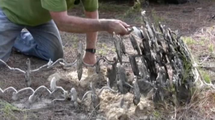 Pouring 1200F molten aluminum into an anthill (for science) | The Kid ...