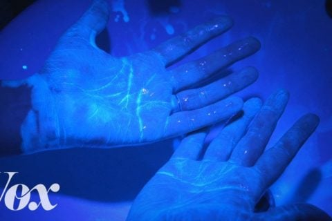 things that glow Archives | The Kid Should See This