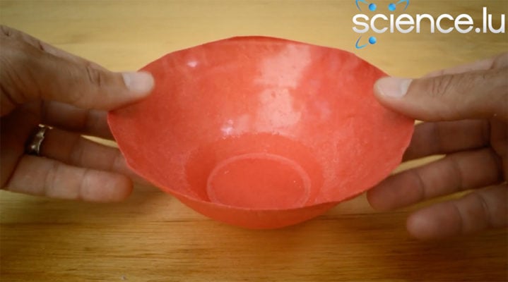 How to make bioplastic | The Kid Should See This