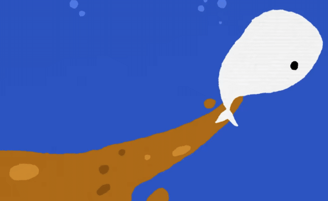 Whale Poop 101: Feeding phytoplankton and the ocean's nutrient cycle ...